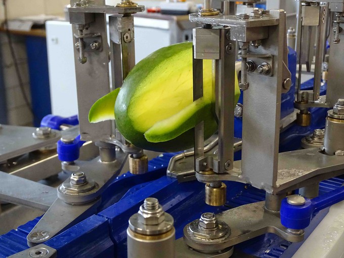 Breakthrough in mango processing